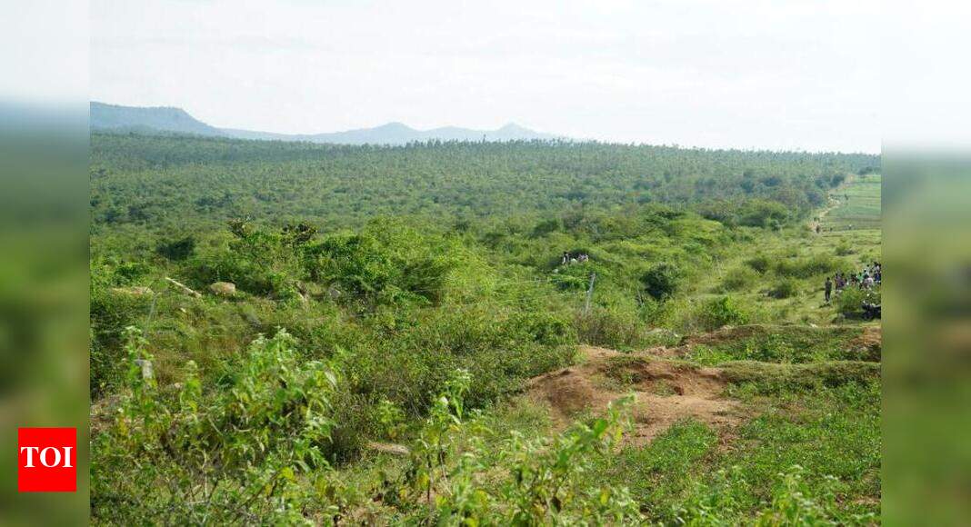 Forest Department Keen On Developing Grassland As Buffer Zone Mysuru