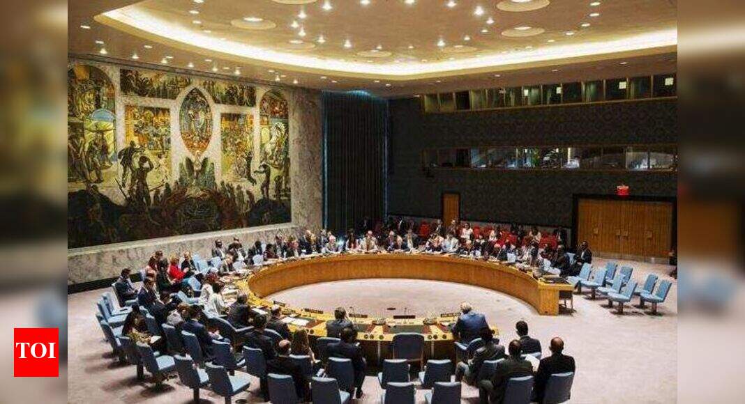 Seven nations vying for five UN Security Council seats - Times of India