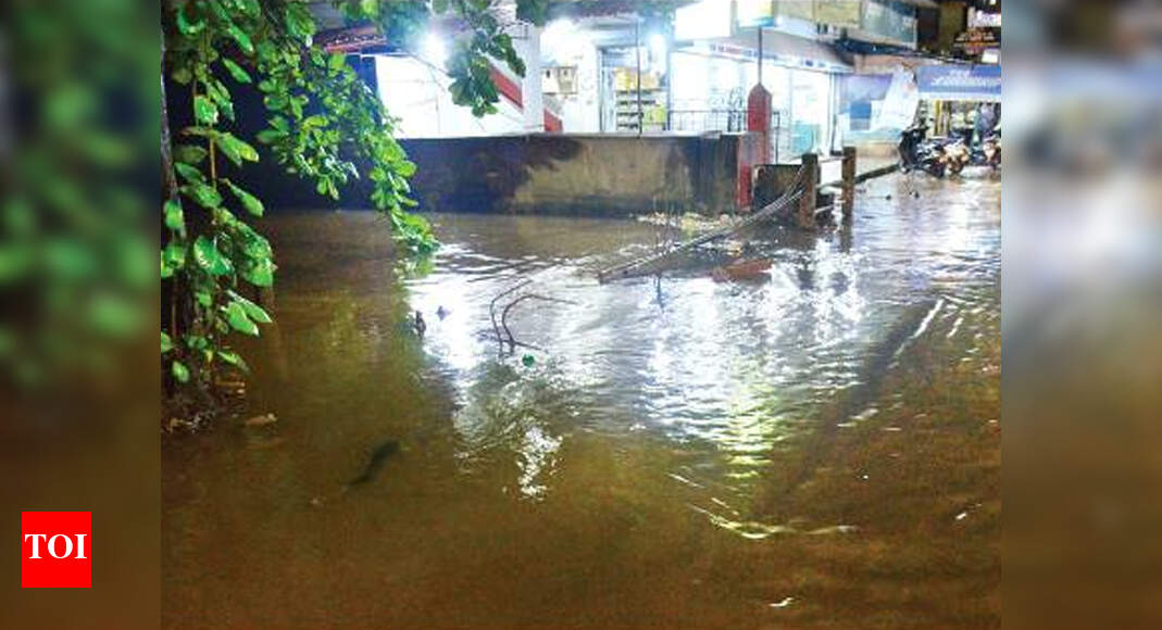 Goa: Heavy rainfall warning to continue on Thursday | Goa News - Times ...
