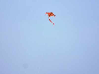 Chandigarh: Kite string almost kills scooterist in freak accident ...