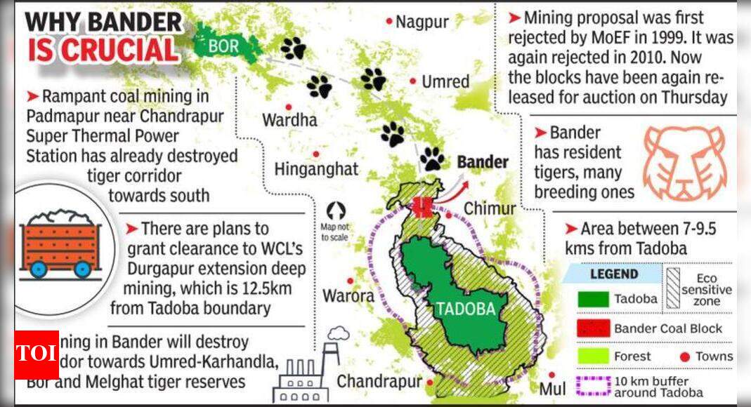 Bander coal block, 7-9 kms from Tadoba, set for auction | Nagpur News ...