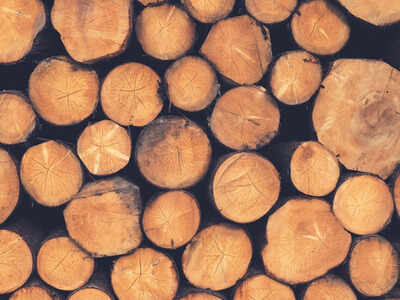 Pune: Timber market reopens as cases drop in Bhavani Peth | Pune News ...