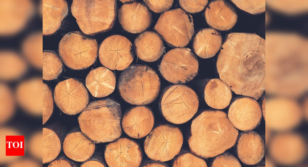 Pune: Timber market reopens as cases drop in Bhavani Peth | Pune News ...