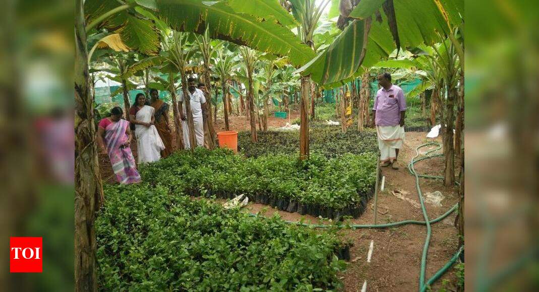 Nedumangad block panchayat wins Deen dayal Upadhyaya national award ...