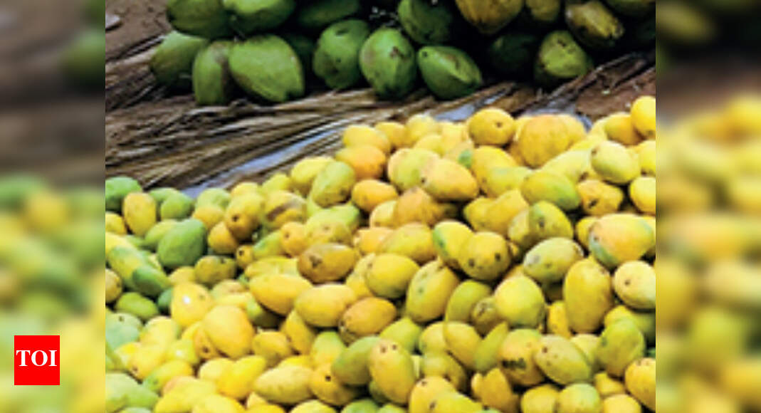 Covid pushes up air freight, UP mangoes to reach Gulf via sea | Agra ...