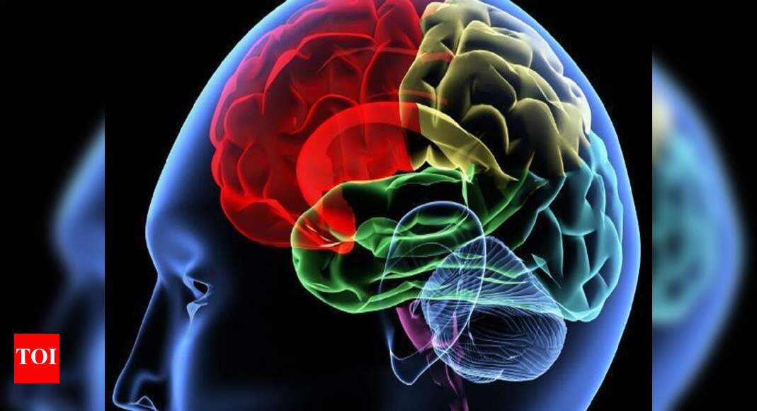 Study explains how brain maps our interpersonal ties - Times of India