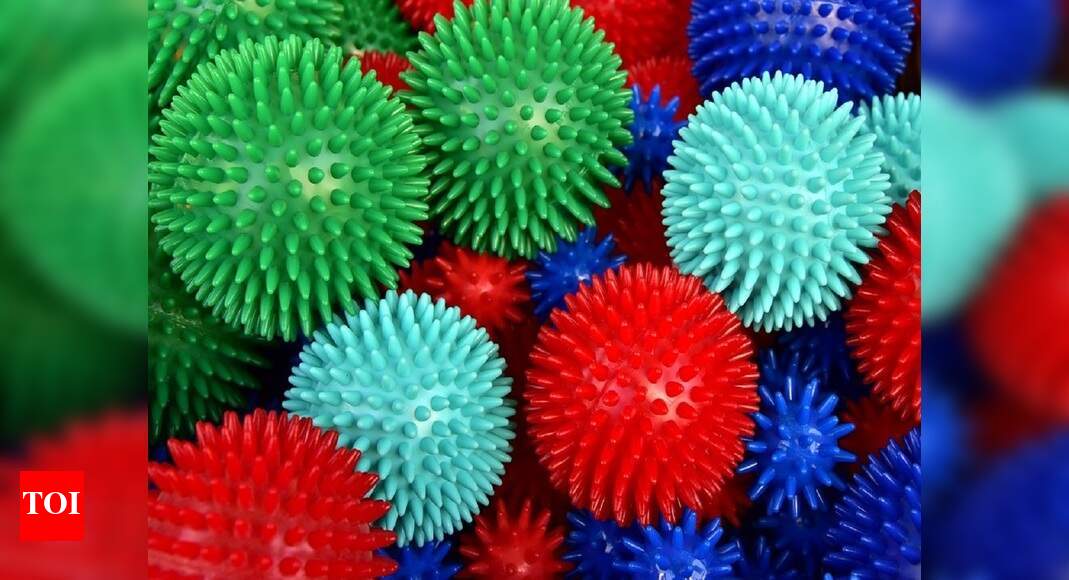 Massage balls to help you ease muscular strains - Times of India