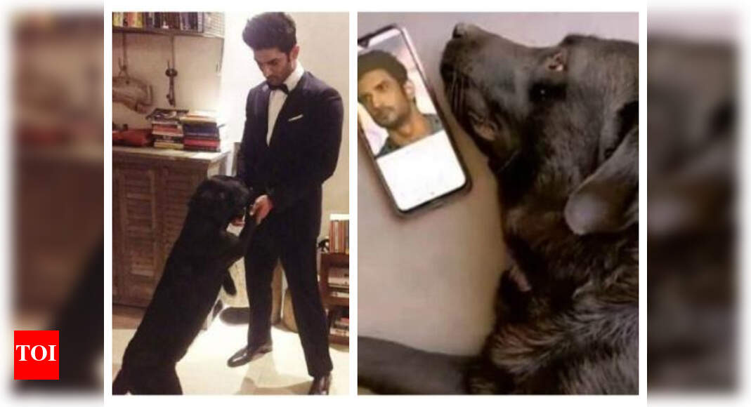 Sushant Singh Rajput Dog Death News is Fake: Rumours of Sushant Singh ...