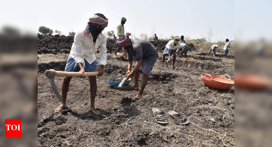 Extra labour force for quality NREGA work | Jaipur News - Times of India
