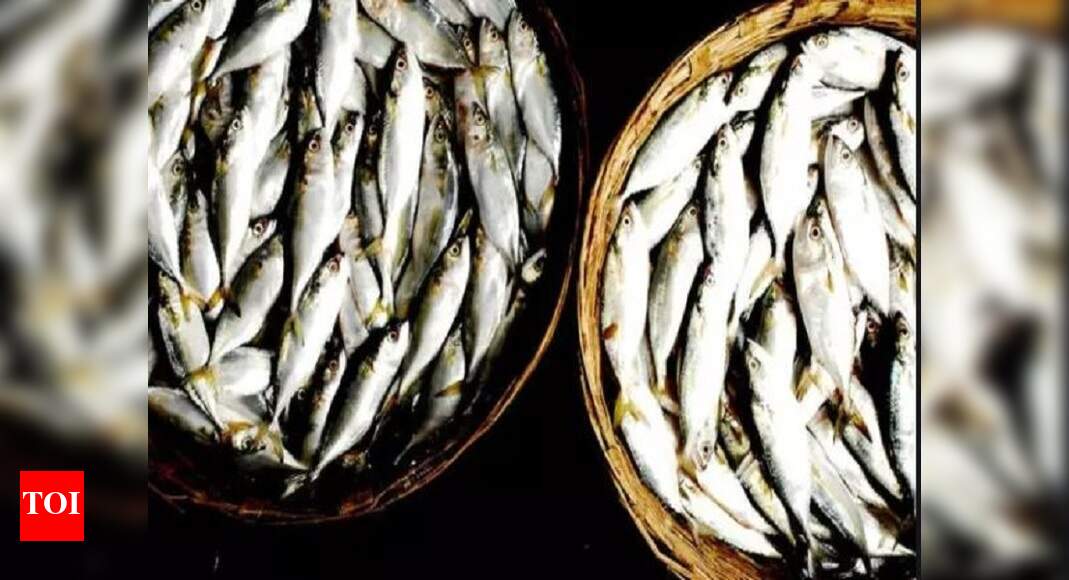 Mapusa fish, meat markets sanitised | Goa News - Times of India
