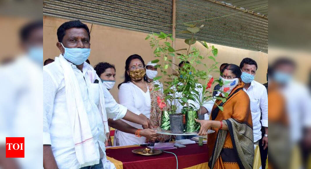 Haritha Haram 2020: Families get saplings to plant in Adilabad as ...