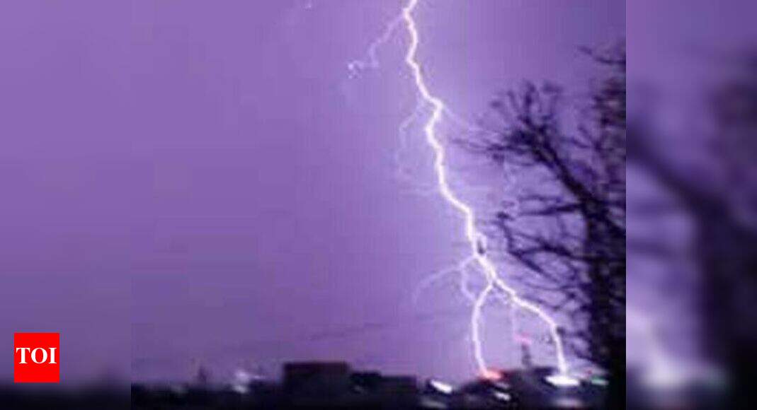 Lightning death toll in Bihar surges to 96 | Patna News - Times of India