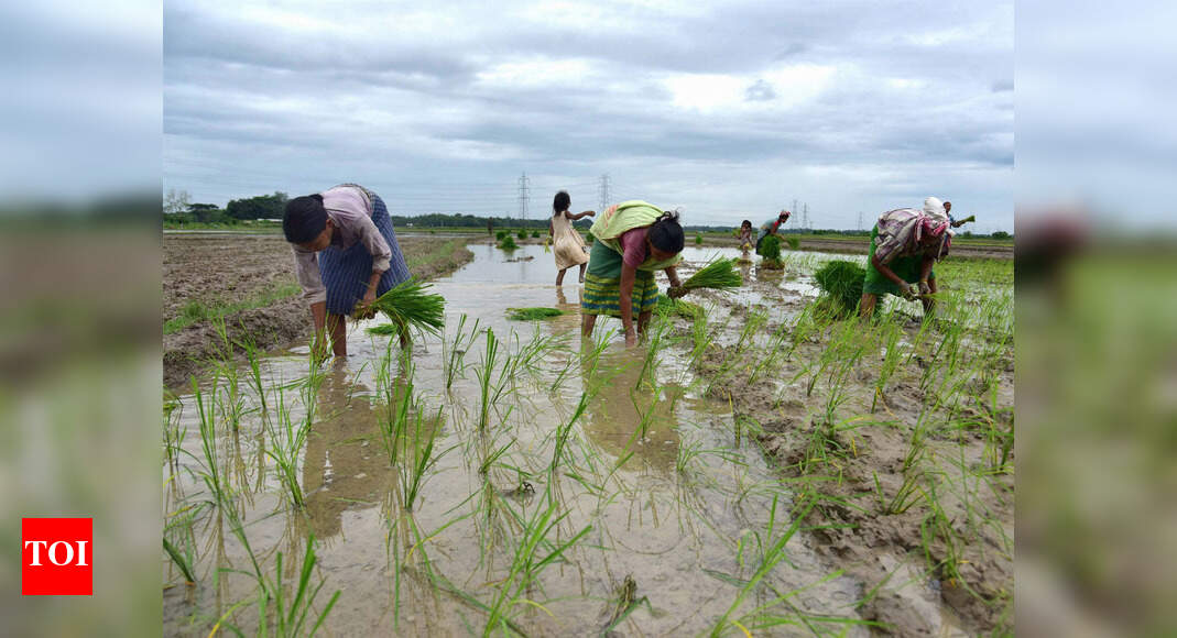 Bhutan rejects reports of blocking irrigation water supply to Assam ...