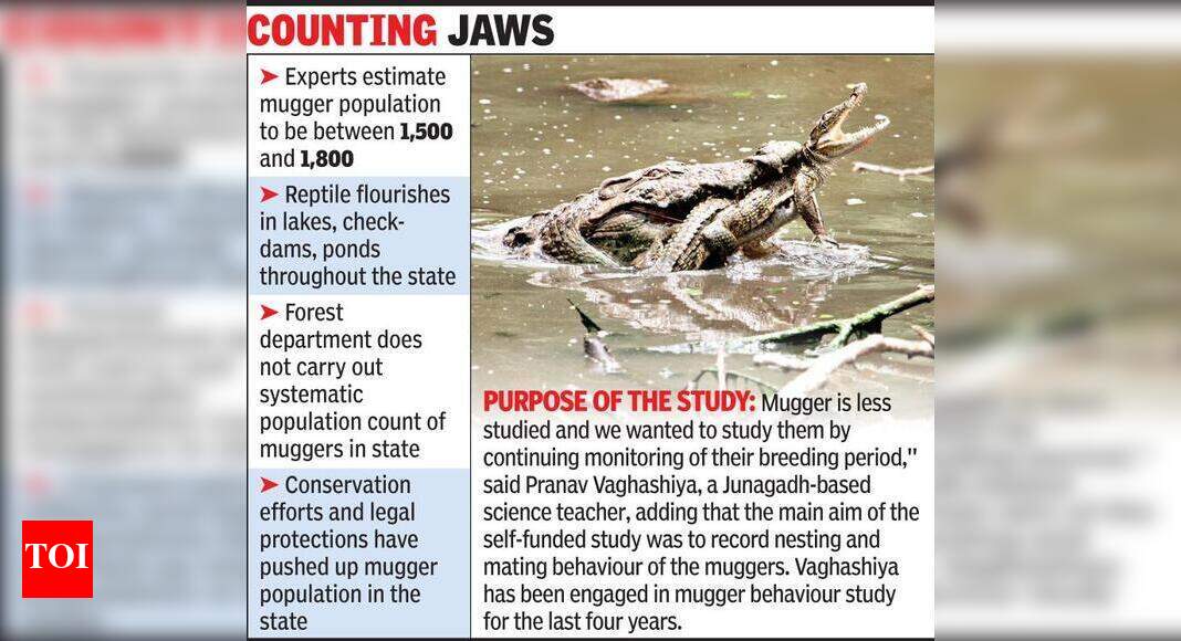 Muggers’ cannibalistic traits captured in camera | Surat News - Times ...
