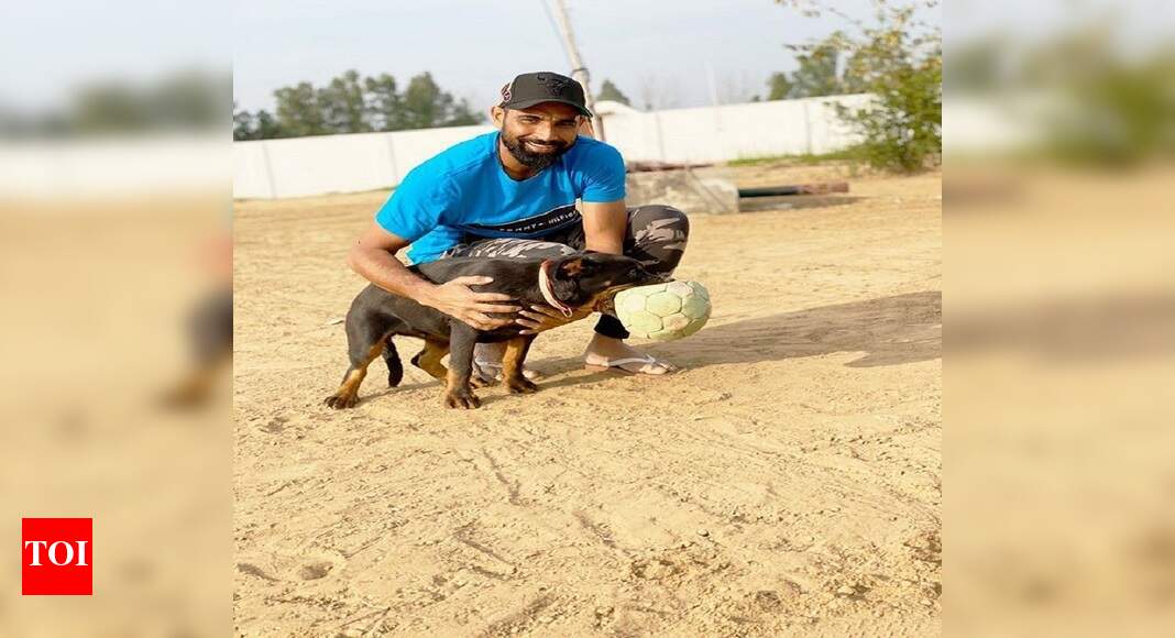 Shami's pet workout! Pacer's running session with his dog - Times of India