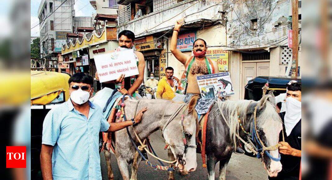 Horse, donkey cart rallies mark fuel hike protest | Rajkot News - Times ...