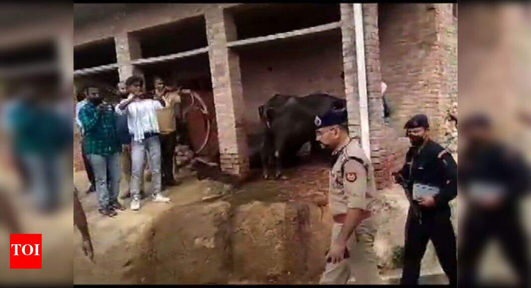 UP Police News: How criminals trapped police team, killed 8 cops in ...