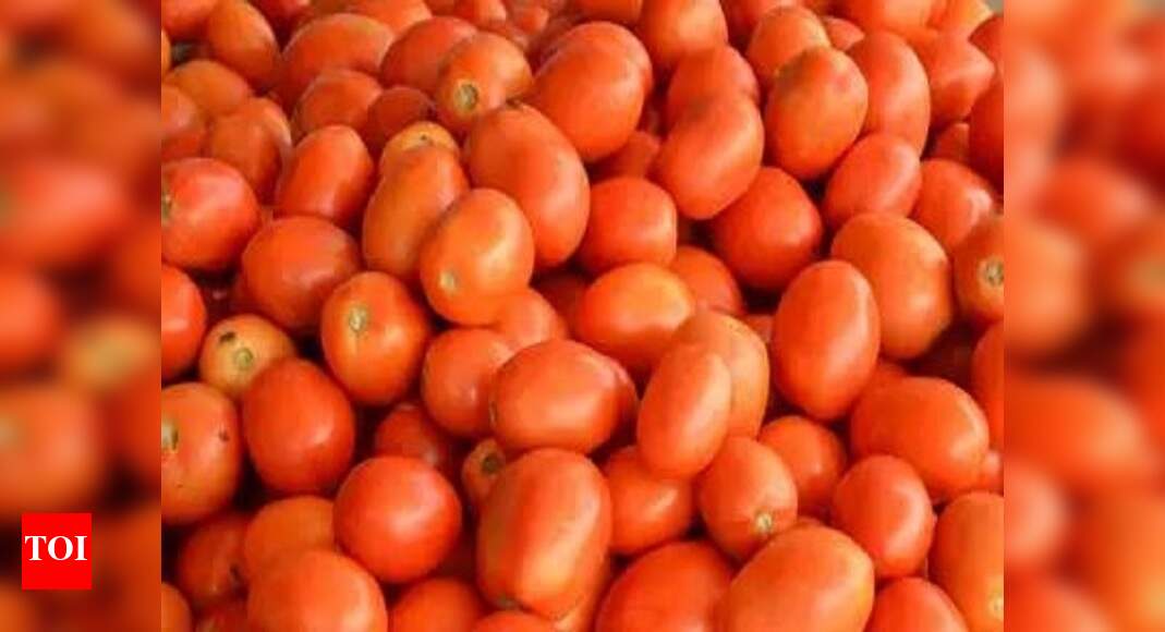 Tomato prices skyrocket to Rs 70/kg in Delhi-NCR | Delhi News - Times of India
