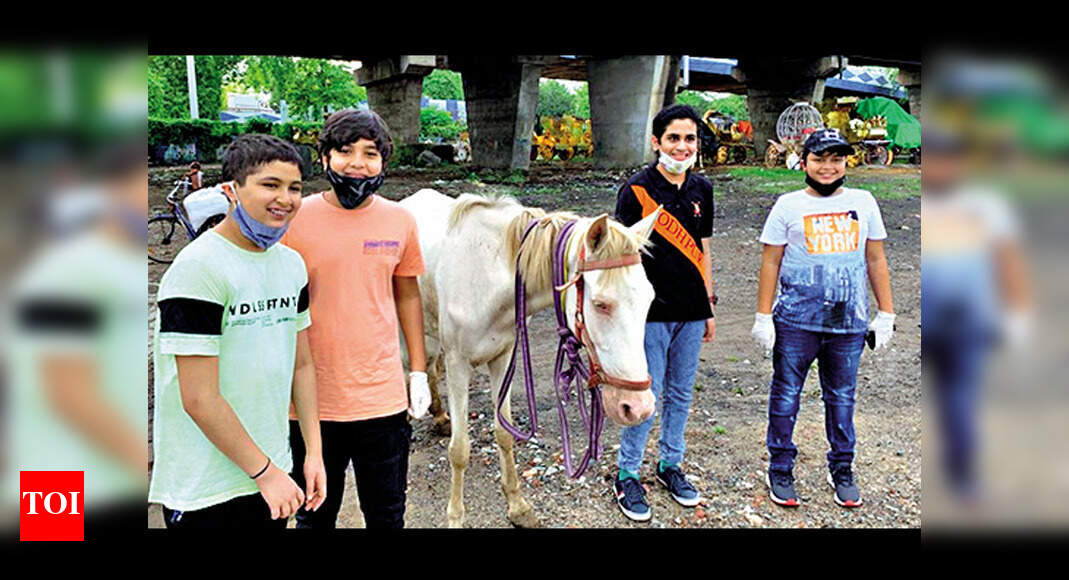 Kolkata: Class-VIII students raise Rs 1.3 lakh to feed 150 abandoned ...