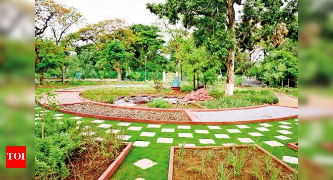 To get life back on track, walkers urge govt to reopen Indira Park ...
