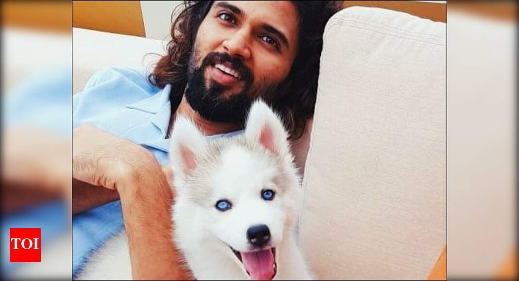 Vijay Deverakonda introduces Storm Deverakonda, his white husky pup ...