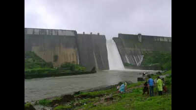 Pune: Water stock in 7 dams in Bhima basin below 10% | Pune News ...