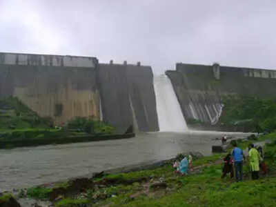 Pune: Water stock in 7 dams in Bhima basin below 10% | Pune News ...