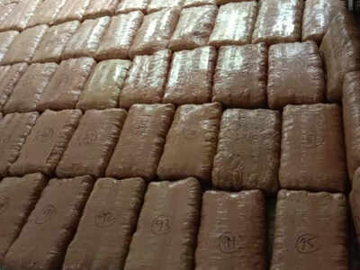 Ganja worth Rs 10 crore in international market seized in Patna | Patna ...