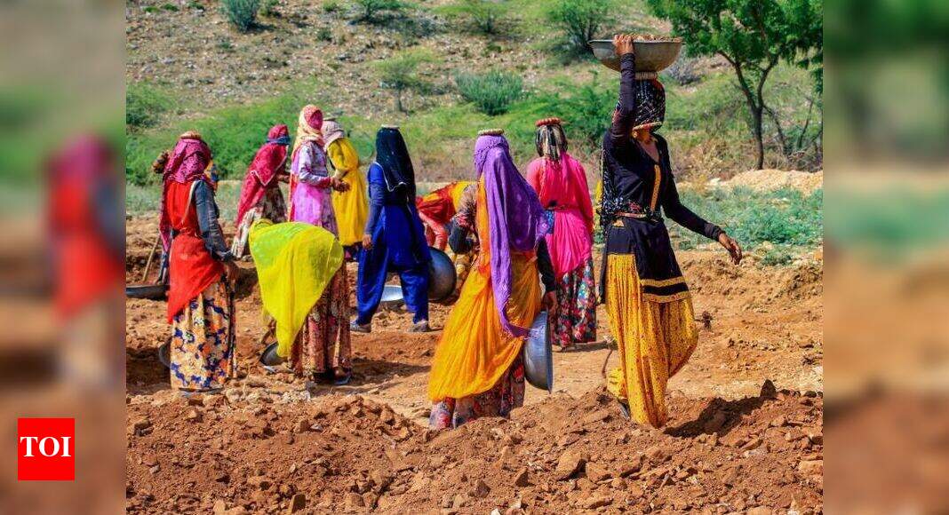 Redefine a day’s work for rural job scheme: Centre | India News - Times ...