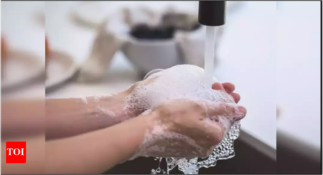 Trust these hand washes for germ-free hands - Times of India