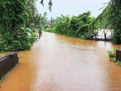 Goa: Talpona river crosses danger mark, WRD warns locals | Goa News ...
