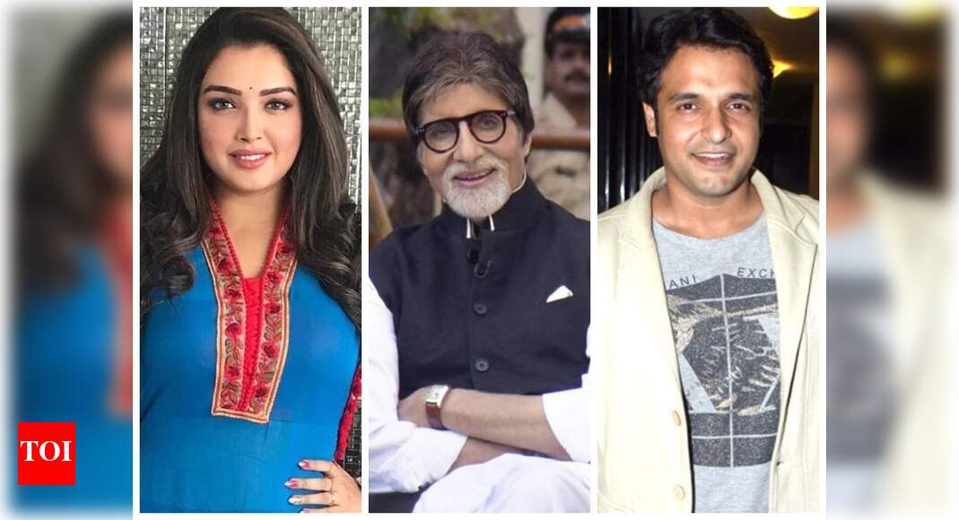 Amitabh Bachchan: Aamrapali Dubey, Vinay Anand, Poonam Dubey and other ...