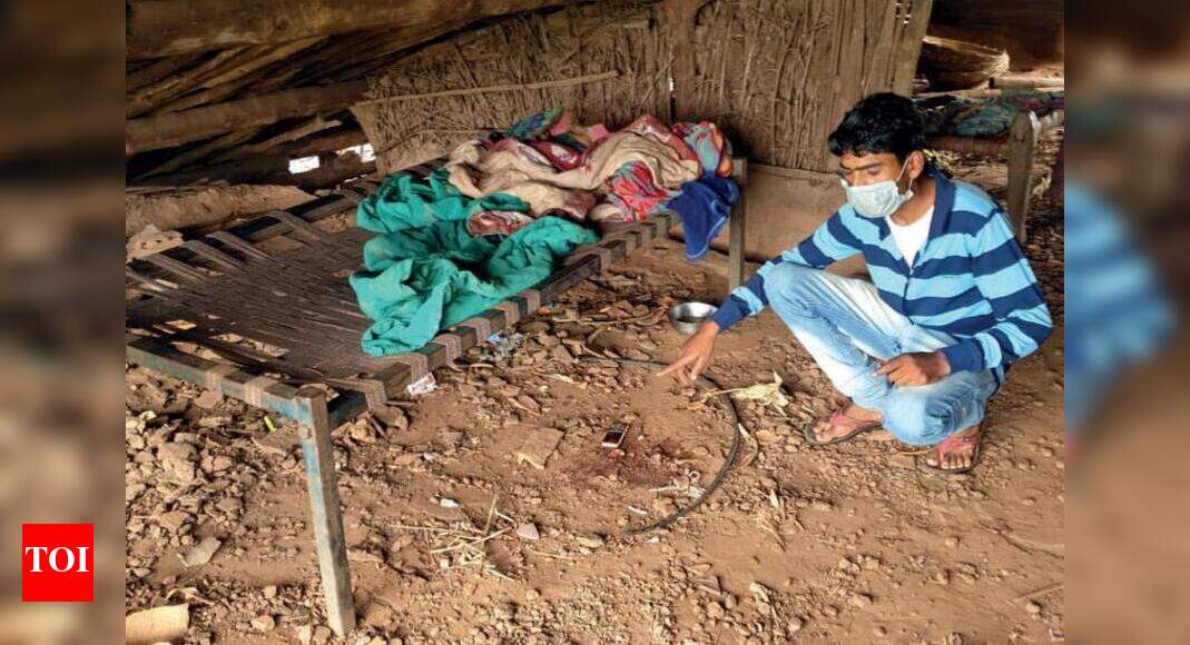 Four injured in leopard attacks | Vadodara News - Times of India