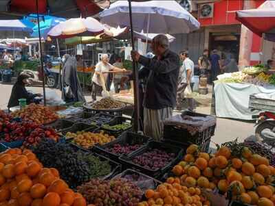 Pandemic has silver lining for Iraq: Food self-sufficiency - Times of India
