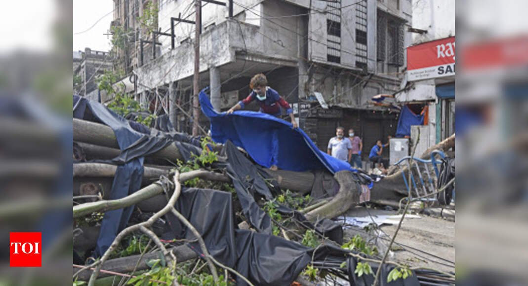 West Bengal seeks NABARD assistance for repair of cyclone- damaged ...