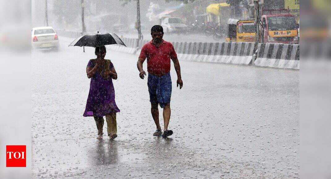 Parts of UP receive light to moderate rainfall | Lucknow News - Times ...