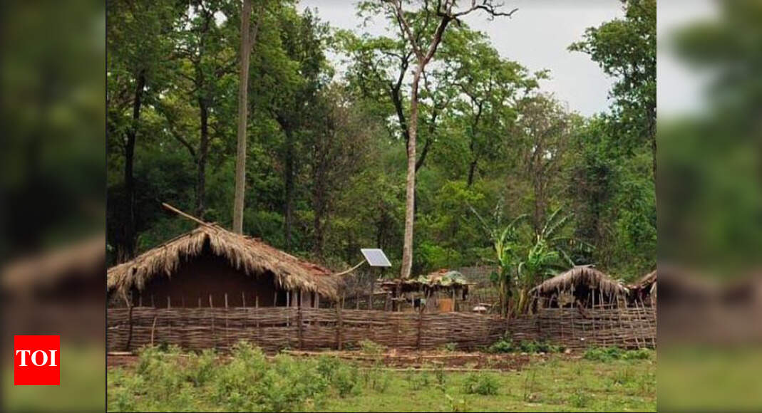 Chhattisgarh: With solar power, it’s finally a dawn in remote villages ...