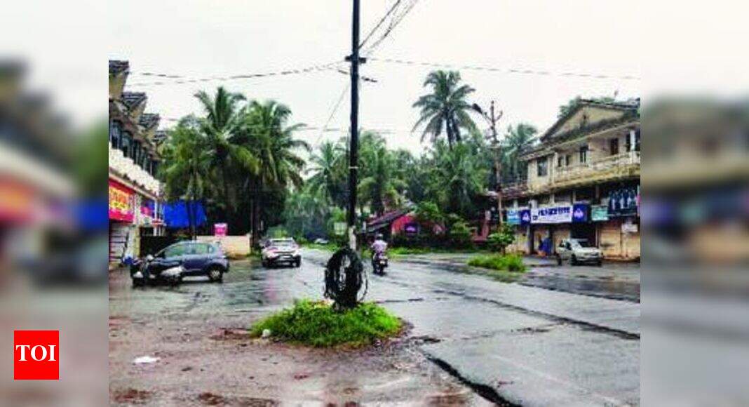 Colva police forcibly close down even grocery stores | Goa News - Times ...