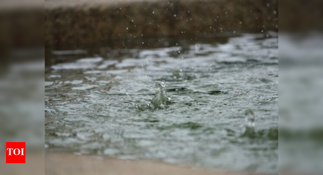 Pune: Scanty rainfall in catchments of dams in Ghod sub-basin | Pune ...