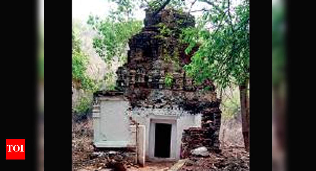 Telugu kings Renati Cholas ruled from Kadapa, not Karnataka, says ASI ...