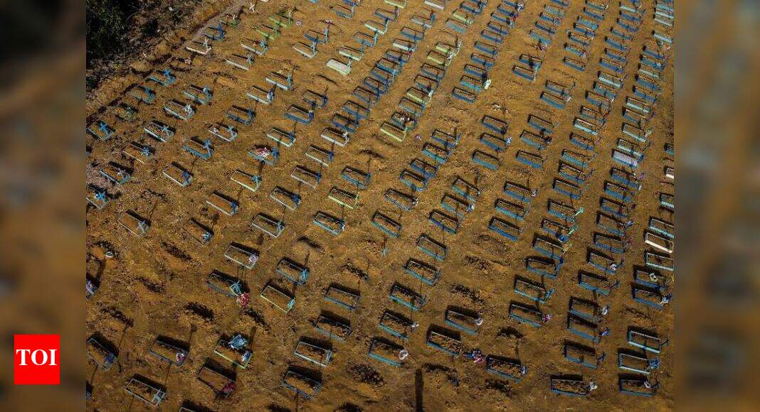 Corona Deaths in Brazil: Brazil virus death toll surpasses 80,000 ...