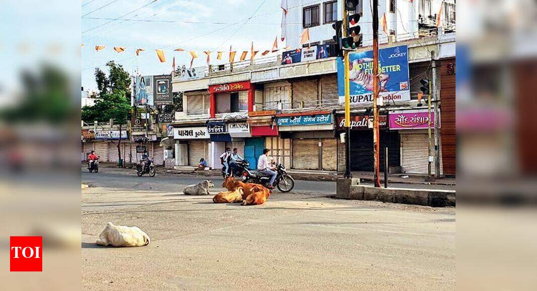 39 cases recorded in a day in Dahod | Vadodara News - Times of India