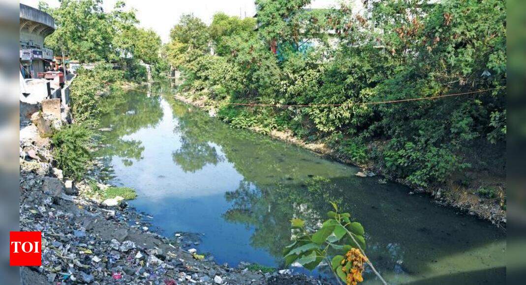 HC: Nag river a cursed lady, thanks to industrialization | Nagpur News ...