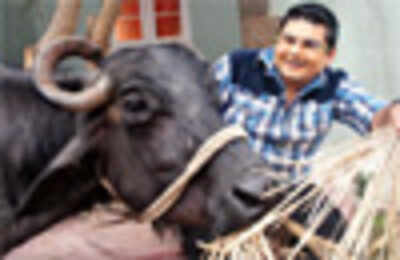 Deven becomes a doodhwala! - Times of India