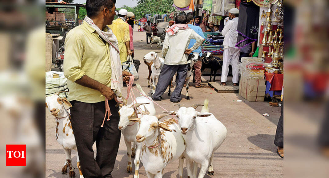More on plate: Mutton prices may come down in Delhi | Delhi News ...