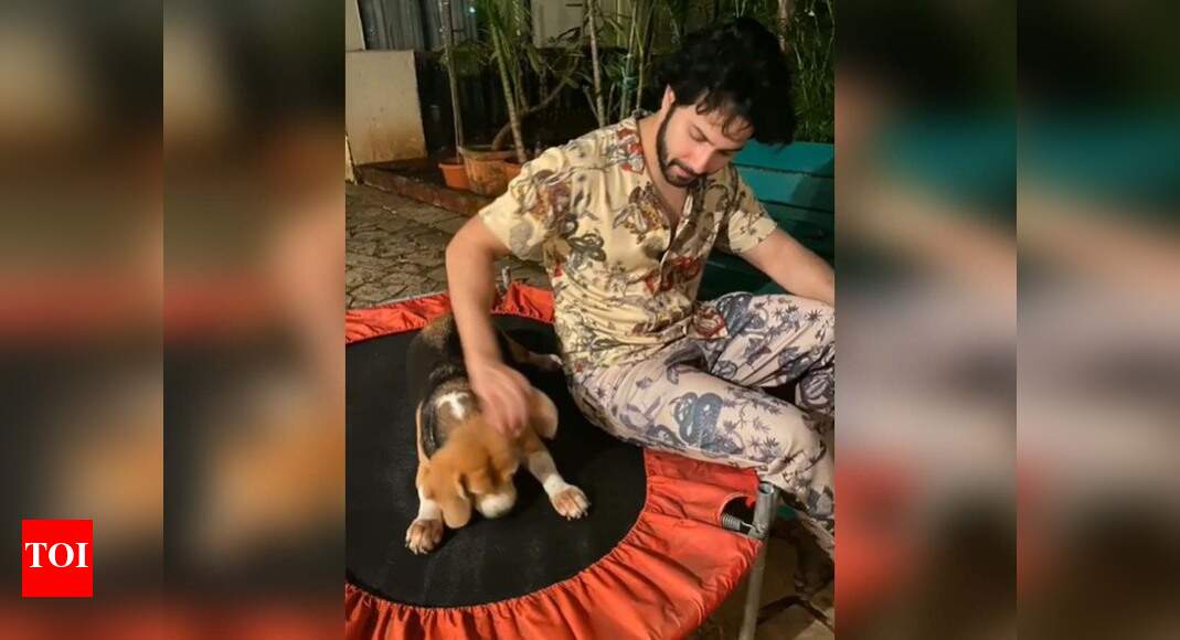 Varun Dhawan shares an adorable post with a dog; take a look! | Hindi ...