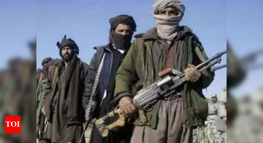 Between 6,000-6,500 Pakistani terrorists in Afghanistan: UN report ...