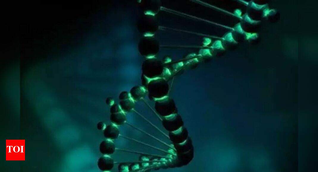 China collecting DNA samples of millions, experts suspect devloping ...