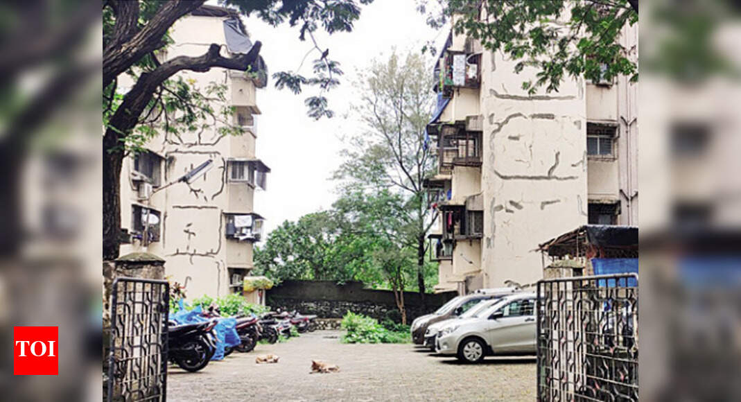 Mumbai News: Can't let people die, vacate in four weeks; Bombay HC to ...