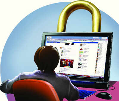 Lockdown looters: Phishing season in Chandigarh for cyberian cranes ...